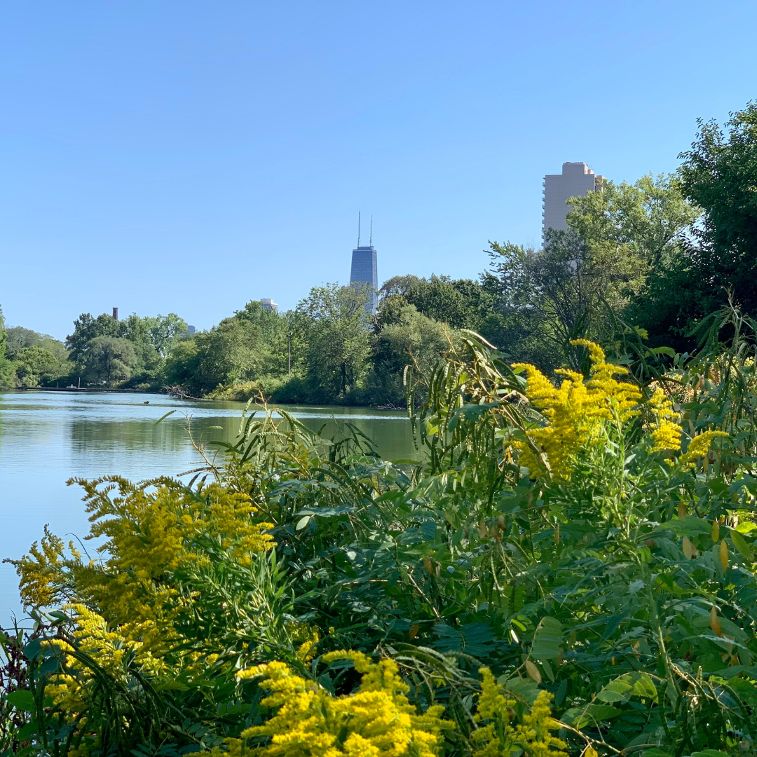 Moving to Lincoln Park Chicago - Your Lincoln Park Life