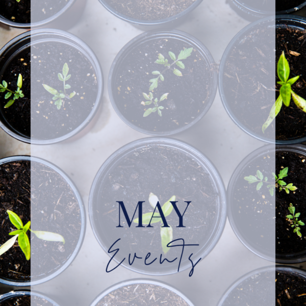 May Events in Chicago - Your Lincoln Park Life