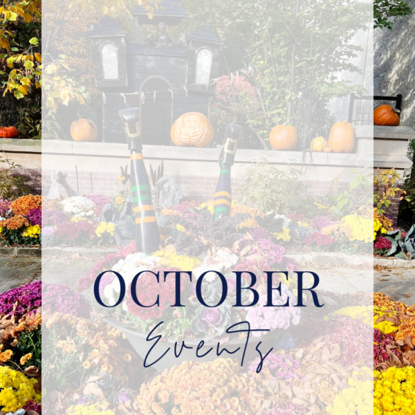 Enchanting October Events: Spooky Thrills and Cozy Delights in Chicago ...