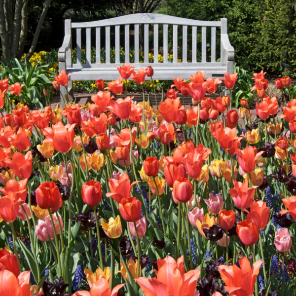 Spring into May's Chicago Events! - Your Lincoln Park Life